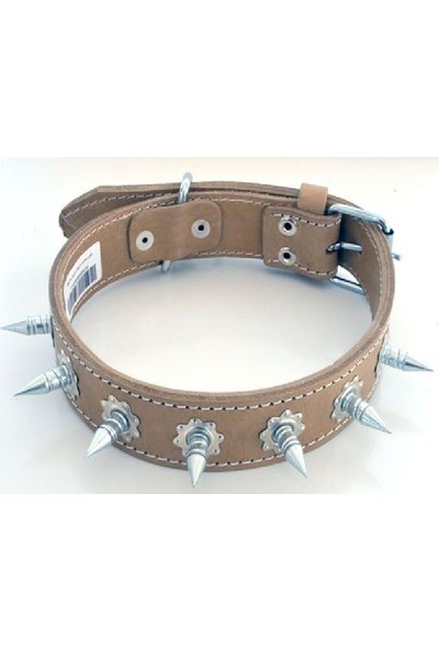 Deri Pet Çift Katlı Çivili Deri Köpek Tasma