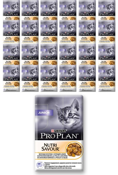 Pro Plan Proplan Junior Pouch Tavuklu Yavru Kedi Konservesi 85 gr x 24 Adet Pro Plan Proplan Junior Pouch Tavuklu Yavru Kedi Konservesi 85 gr x 24 Adet