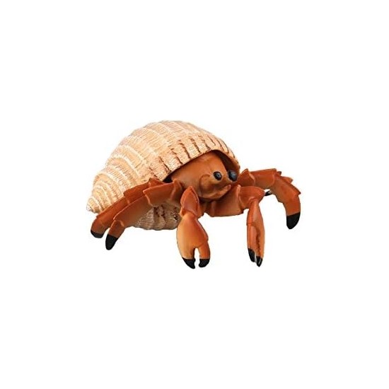 Jarke 752 Münzevi Yengeç 188G (Yurt Dışından) Fiyatı