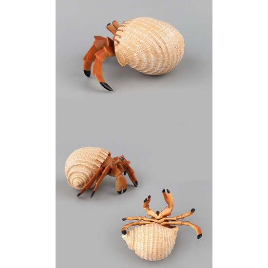 Jarke 752 Münzevi Yengeç 188G (Yurt Dışından) Fiyatı