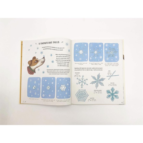 Slow Down - Rachel Williams Kitabı ve Fiyatı - Hepsiburada