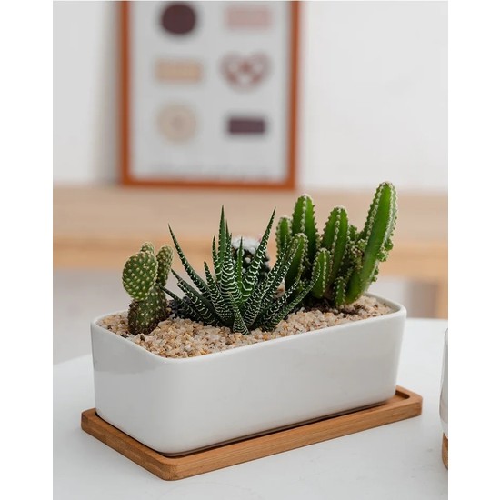 Shanhua Shop 12.5cm Tarzı Oval Şekil Bambu Ahşap Tabak Bitki Fiyatı