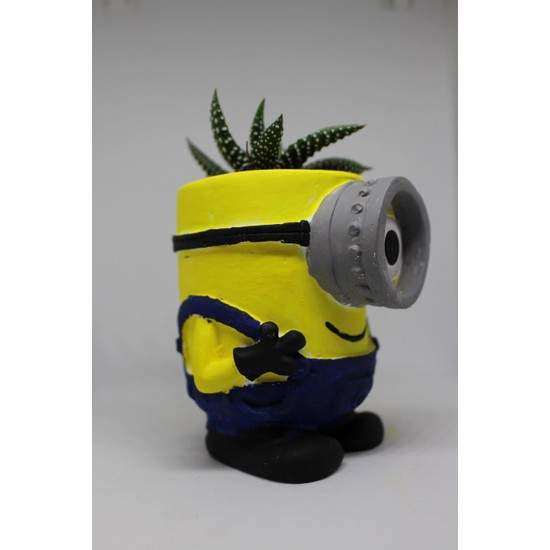 Cactus Garden Minion Saksı Özel Dekoratif Kaktüs ve Canlı Fiyatı