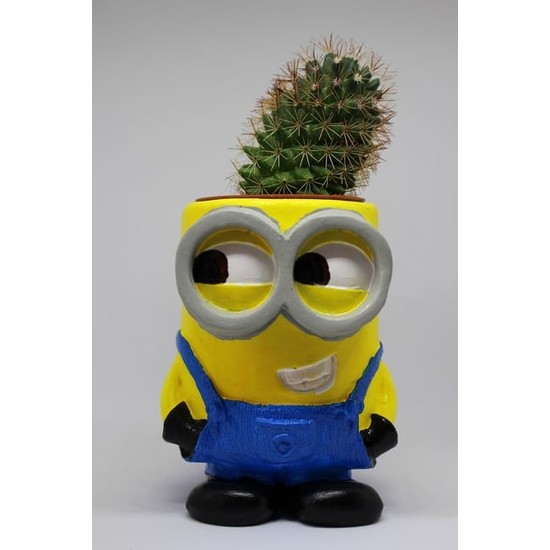 Cactus Garden Minion Canlı Sukulent Dekoratif Saksı + Bitki Fiyatı