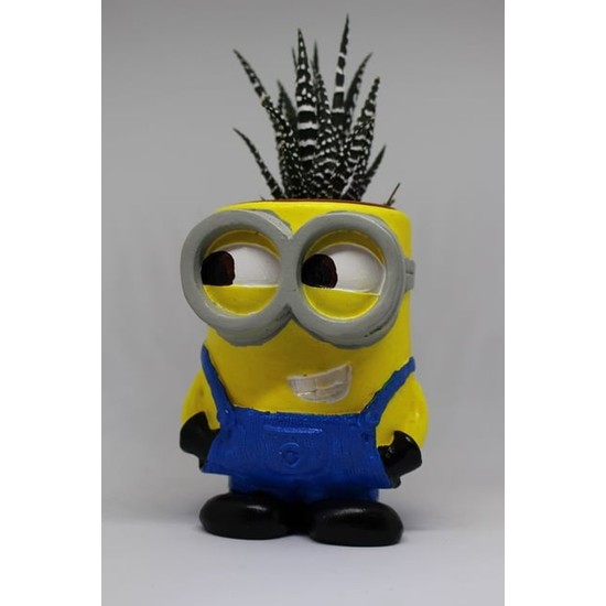 Cactus Garden Minion Canlı Sukulent Dekoratif Saksı + Bitki Fiyatı