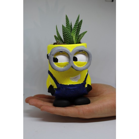 Cactus Garden Minion Canlı Sukulent Dekoratif Saksı + Bitki Fiyatı