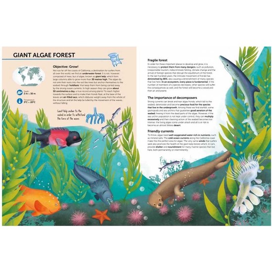 Atlas Of Biodiversity Oceans And Seas Leonora Camusso Kitabı