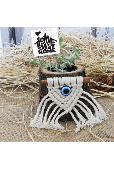 E-Hediyeci Home Sweet Home Naturel Saksıda Sukulent