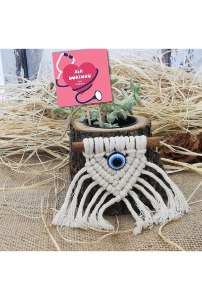 E-Hediyeci Aşk Doktoru Temalı Naturel Saksıda Sukulent E-Hediyeci Aşk Doktoru Temalı Naturel Saksıda Sukulent