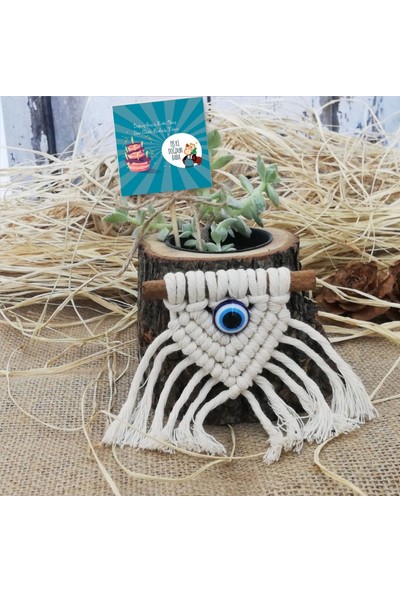 E-Hediyeci Iyi Ki Doğdun Baba Naturel Saksıda Sukulent