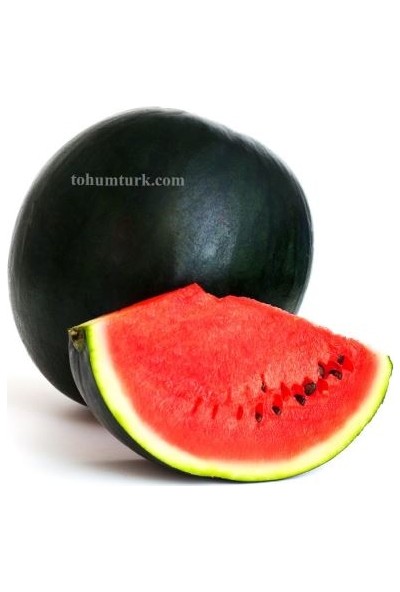 Tohumcumm 20 Adet Büyük Iri Boy Siyah Karpuz Tohumu Kara Bal Karpuz Tohumu Tohumcumm 20 Adet Büyük Iri Boy Siyah Karpuz Tohumu Kara Bal Karpuz Tohumu