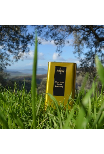 Altın Zeybek Milas Şenköy Erken Hasat Sızma Zeytinyağı 5 lt Altın Zeybek Milas Şenköy Erken Hasat Sızma Zeytinyağı 5 lt