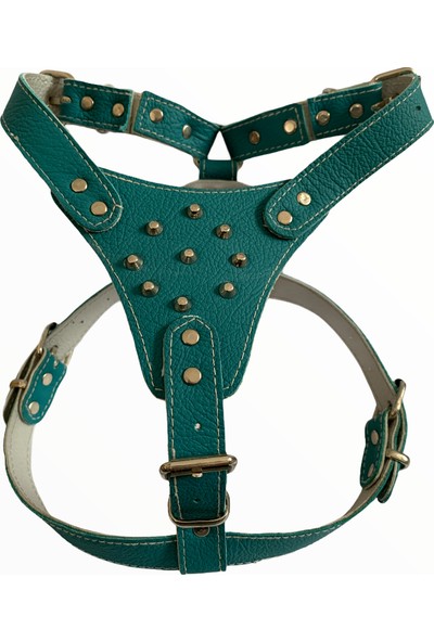 Pacopet Küçük Irk Gladyatör Ayarlanabilir Small Köpek Tasması - Turkuaz Pacopet Küçük Irk Gladyatör Ayarlanabilir Small Köpek Tasması - Turkuaz