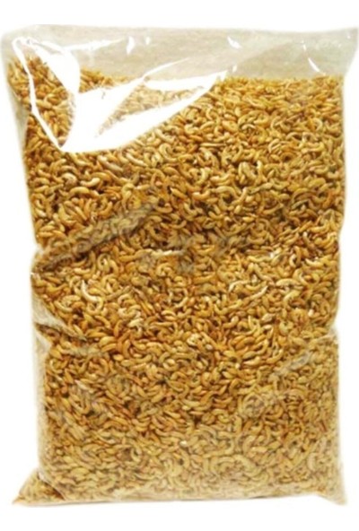 Maxisol Kurutulmuş Karides (Gammarus) 50 gr