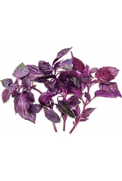 Arzuman Mor Fesleğen (Reyhan) Tohumu 100 Adet