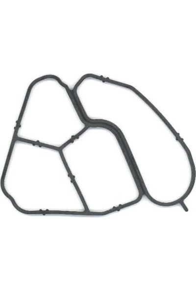 Elring Bmw E46-X5 E53 Land Rover Range Rover Iıı Yağ Hazne Contası 1999 Ve Üstü Yıllar (11422247378)