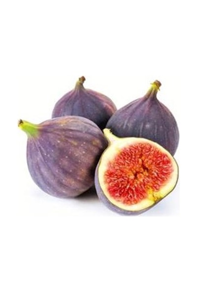 Tohumcumm 20'li Siyah İncir Tohumu