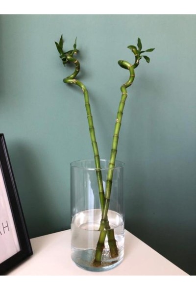 Paşabahçe Dekoratif Cam Vazo