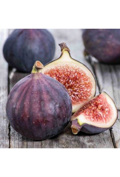 Evve Bahçe Tüplü Aromatik 208 Siyah Incir Fidanı Evve Bahçe Tüplü Aromatik 208 Siyah Incir Fidanı