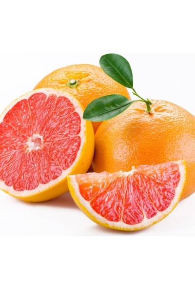 Evve Bahçe Tüplü Aşılı Yarı Bodur Soğuklara Dayanıklı Verimli Riored Greyfurt Altıntop Fidanı Evve Bahçe Tüplü Aşılı Yarı Bodur Soğuklara Dayanıklı Verimli Riored Greyfurt Altıntop Fidanı