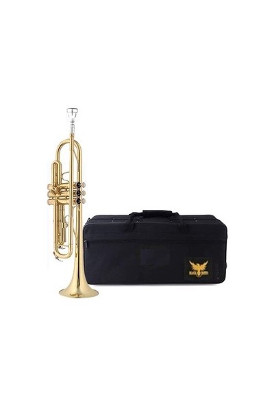 Black Raven Trompet Student BR-TR101L Black Raven Trompet Student BR-TR101L
