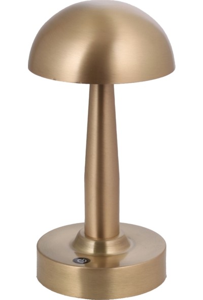 Avonnı ML-64004-E Eskitme Kaplama Masa Lambası LED Metal Pleksi 12 cm Avonnı ML-64004-E Eskitme Kaplama Masa Lambası LED Metal Pleksi 12 cm