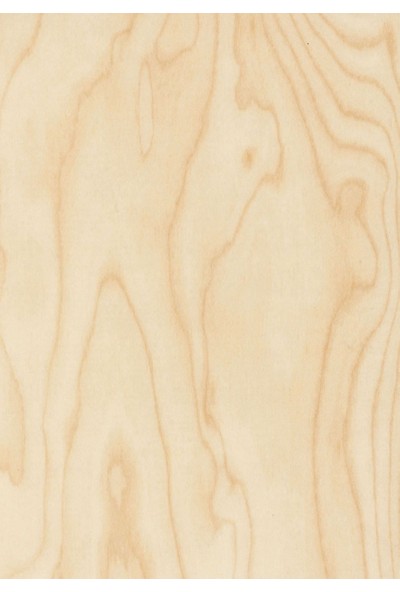 Mobilreyon 6 mm A4 Huş-Marin Kontraplak 2'li Mobilreyon 6 mm A4 Huş-Marin Kontraplak 2'li