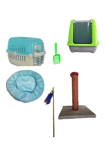 Cado Pet Kedi Başlangıç Ihtiyaç Seti 5 Li Yeşil