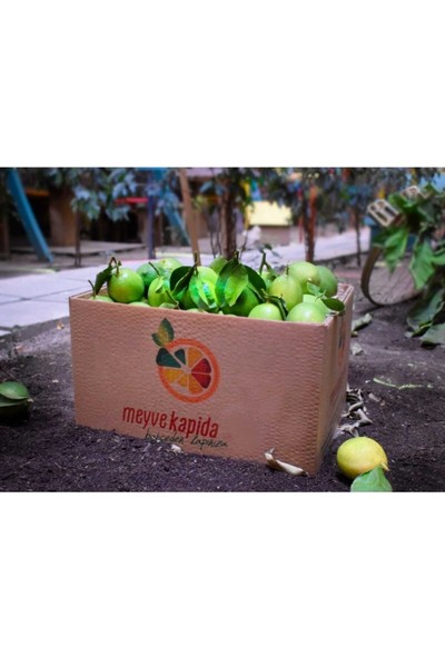 Meyve Kapıda Enterdonat Limon 6 kg