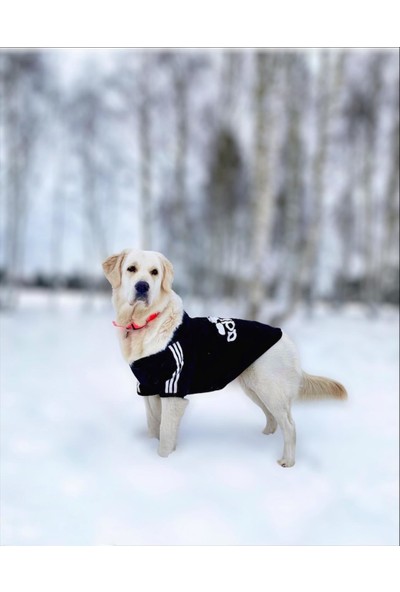 Kemique Adidog Black Hoodie Kapşonlu Sweatshirt, Orta ve Büyük Irklar Için Köpek Kıyafeti, Kemique Adidog Black Hoodie Kapşonlu Sweatshirt, Orta ve Büyük Irklar Için Köpek Kıyafeti,