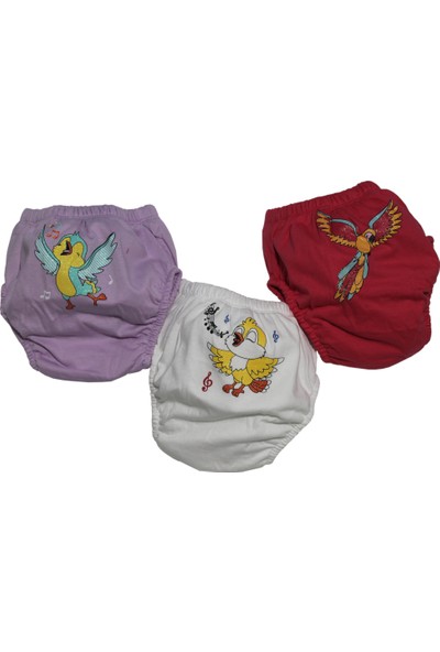 Story Baby Şarkıcı Kuşlar Temalı 3'lü Alıştırma Külodu