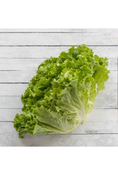 Ev Ve Bahçe Doğal Geleneksel Caipira Kıvırcık Marul Fidesi (5 Adet)