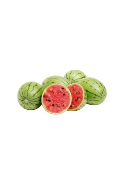 Serdar Çam Tohumculuk Saksılık Baby Karpuz Tohumu Ekim Seti 3 Tohum Saksı Toprak Kombin