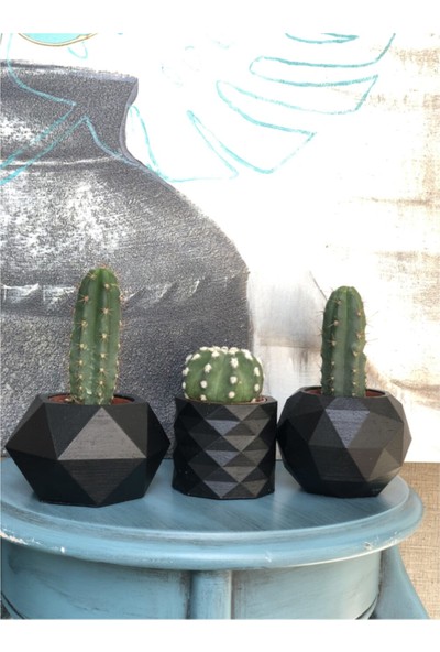 Bigcraft 3'lü Siyah Renk Beton Sukulentlik ve Kaktüs Saksı Seti