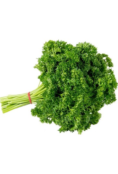 Boothas Frenk Maydanozu 20'li