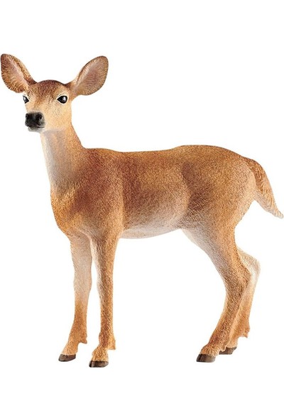 Schleich Beyaz Kuyruklu Karaca 14819 Schleich Beyaz Kuyruklu Karaca 14819
