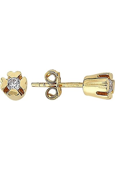 Pirnus Diamond - Altın Küpe - 14 Ayar Gramı 1,63