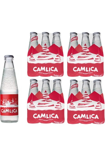 Çamlıca Gazoz 200 ml x 24'lü