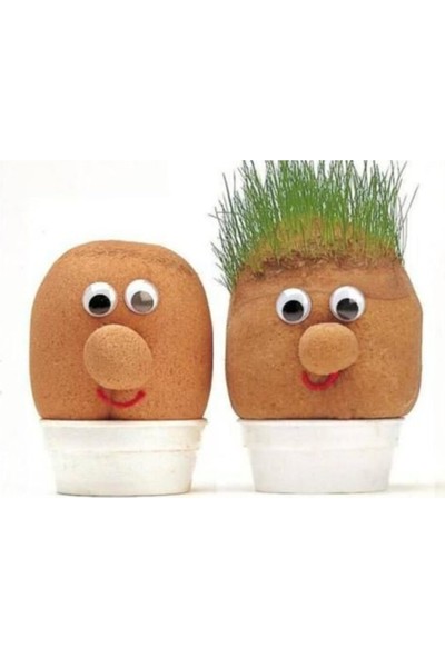 Sino Çim Adam Yapım Seti Sino Çim Adam Yapım Seti