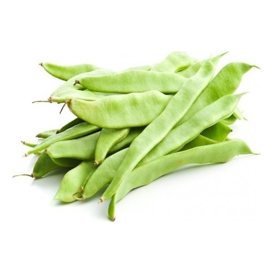 Murat Tohumculuk Murat Tohum Magnumax Demir Fasulye Tohumu Fiyatı