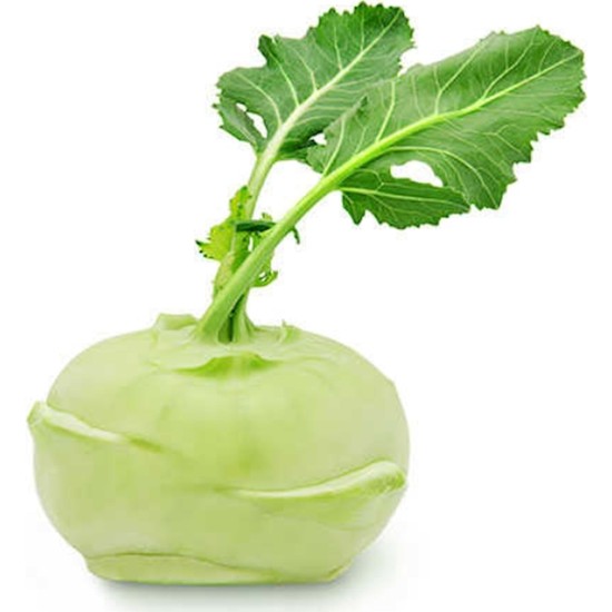 Tohumcumm Alabaş Tohumu Alabaş Turp Tohumu 20 Tohum Fiyatı