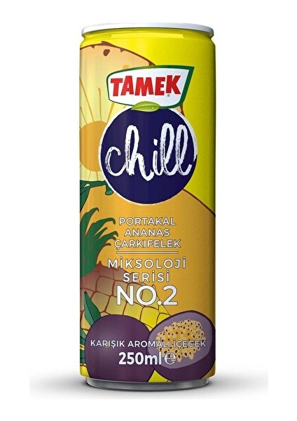 Tamek Chill No:2 Portakal Ananas Çarkıfelek 250 ml Fiyatı