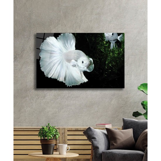 Miraax Beyaz Balık Cam Tablo White Fish Fiyatı - Taksit Seçenekleri