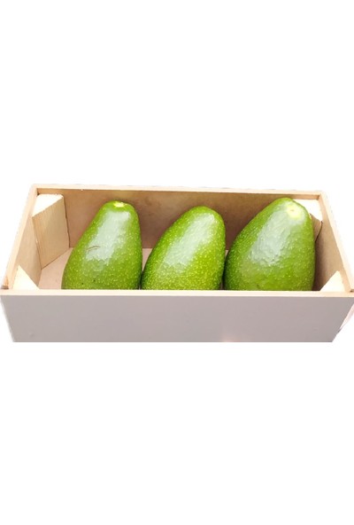 Alanya Özlem Avokado 3'lü