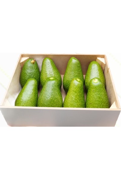 Alanya Özlem Avokado 8'li