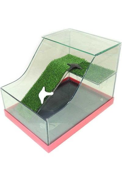 Bu Çiftlik Kaplumbağa Bahçesi Cam Akvaryum Küçük