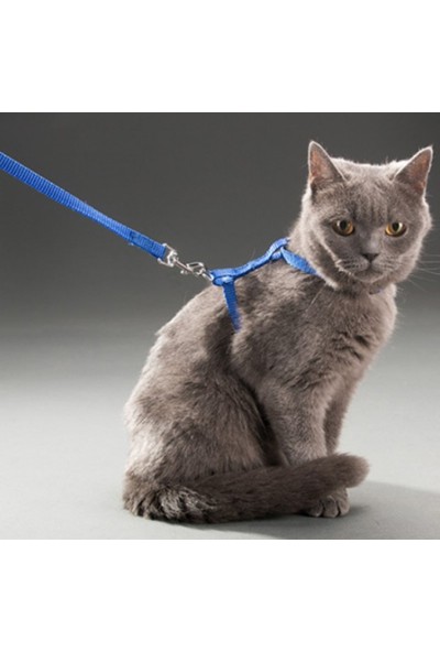 Muca Kedi Göğüs Tasması ve Gezdirme Seti