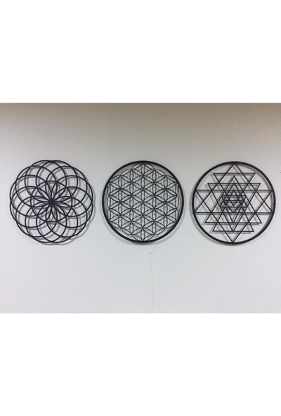 Castore Home Yaşam Çiçeği - Sri Yantra - Torus Metal Tablo SİYAH 30x30 cm,cas3027 Castore Home Yaşam Çiçeği - Sri Yantra - Torus Metal Tablo SİYAH 30x30 cm,cas3027