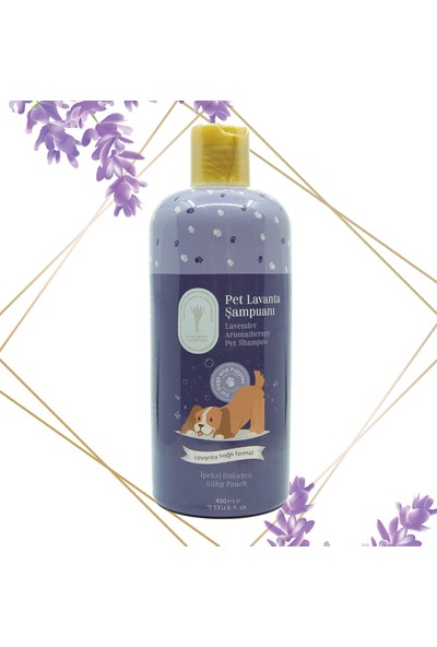 Gallipoli Lavender Lavanta Yağlı Pet Şampuanı 400 ml Kedi Şampuanı Köpek Şampuanı Organik Lavanta Koku Gideren Şampuan Gallipoli Lavender Lavanta Yağlı Pet Şampuanı 400 ml Kedi Şampuanı Köpek Şampuanı Organik Lavanta Koku Gideren Şampuan