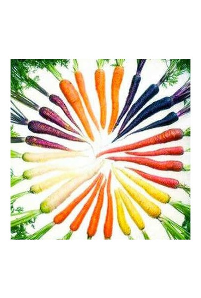 Serdar Çam Tohumculuk 5 Farklı Renkli Havuç Tohumu 50 Tohum